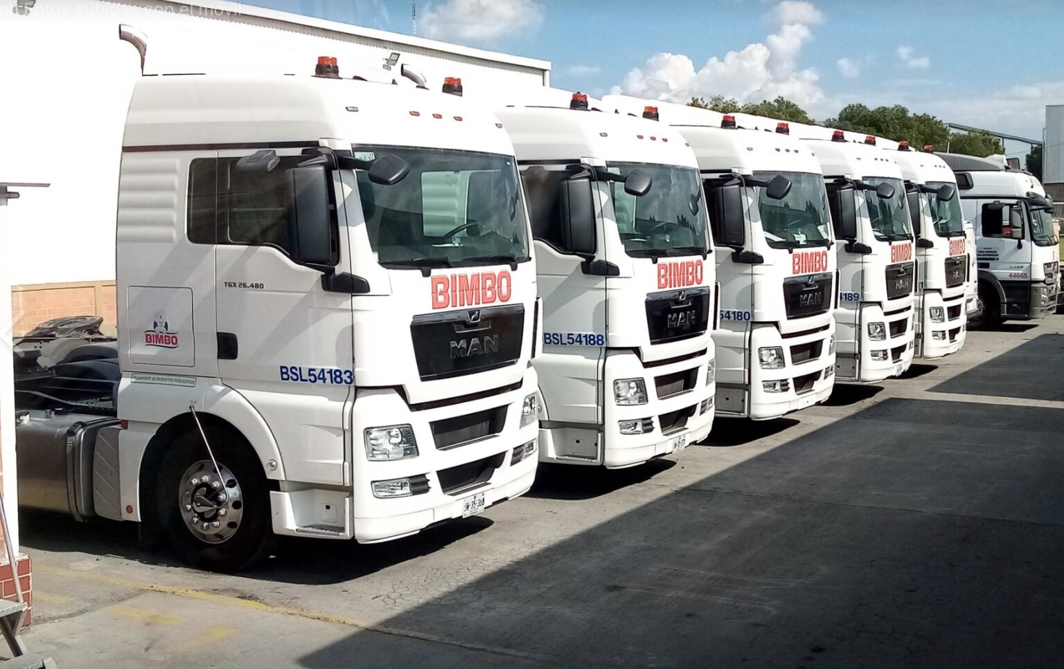 Bimbo fortalece su flota con nuevas unidades – THE LOGISTICS WORLD ...