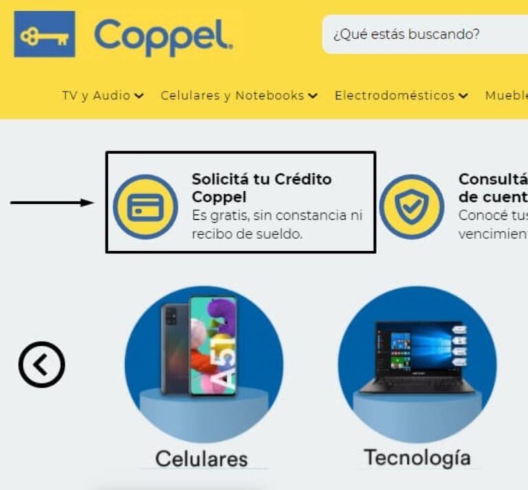 ¿Cuántas tiendas y sucursales tiene Coppel en México?