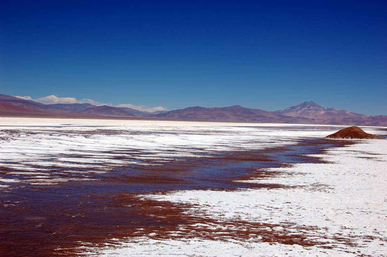 El Salar de Maricunga, tesoro de litio en el desierto de Atacama, Chile