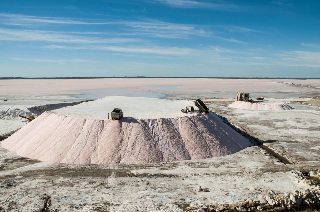 Argentina: Exportaciones de litio podrían multiplicarse para 2025