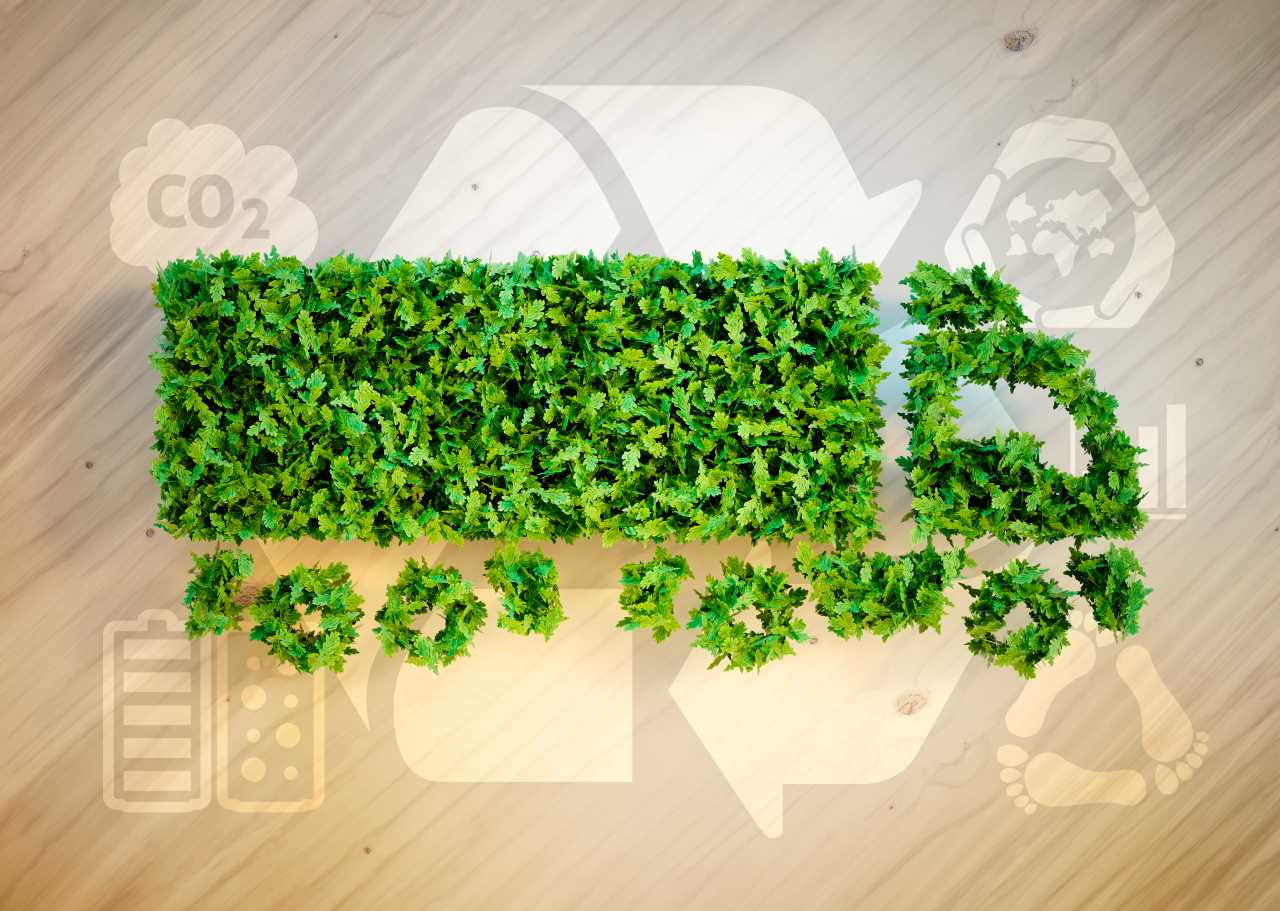 Logística Verde: ¿Cómo las empresas pueden ir hacia la sostenibilidad?